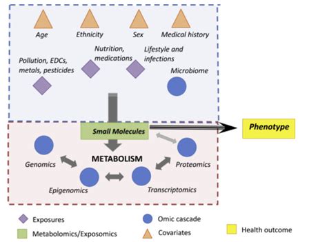 Metabolomics Its Applications And Its Intersection With Machine Learning Exploratio Journal
