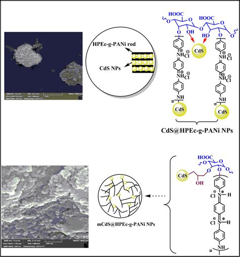 The Schematic Representation Of Synthesized Nanostructures With