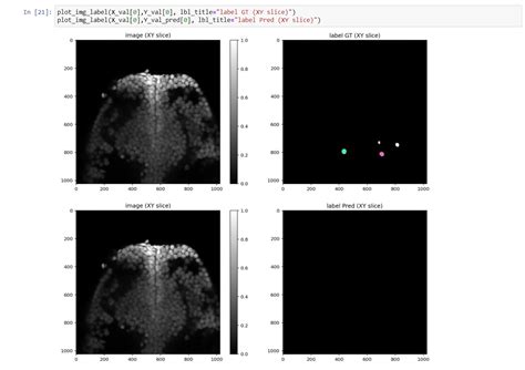 Resourceexhaustederror In Predictfunction · Issue 119 · Stardiststardist · Github