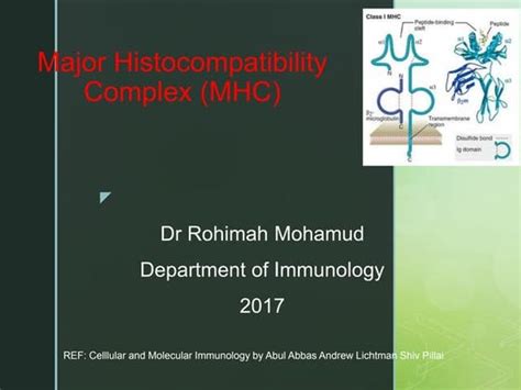 Major Histocompatibility Complex Pptx Chemistry Science