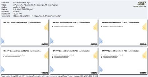 Ibm App Connect Enterprise 11 Ace Administration Softarchive