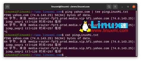 linux tee 命令真实示例详细指南 linux迷