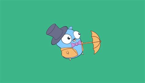 golang check variable type golang php cn