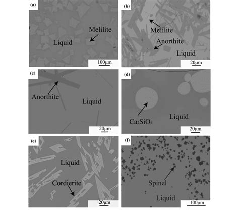 Typical Microstructures Of The Quenched Samples Showing The Equilibrium