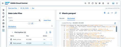 Explore Sap Hana Cloud Sap Hana Database Sql On Files Sap Tutorials