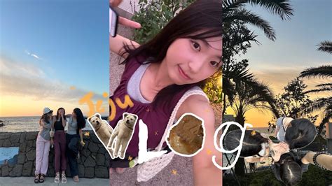 친구들과 다녀온 2박3일 제주여행 Vlog🍊🌴ㅣ 제주도 감성 숙소자쿠지🛏️ㅣ 이틀내내 흑돼지랑 망고빙수 정복하기 ㅣ 제주도 신라스테이 이호테우 Youtube