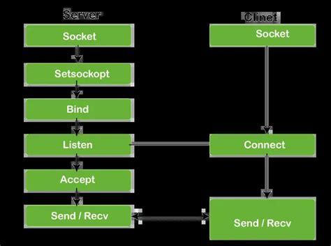 Programmation De Sockets En Cc Tutoriel C