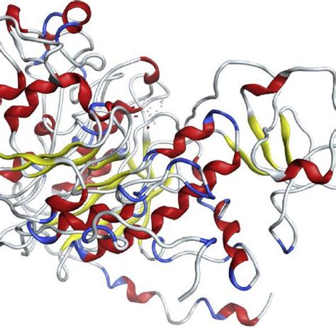 The Binding Model Of Alkaline Phosphatase A The Amino Acid Residues Download Scientific