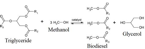 Transesterification Reaction To Produce Biodiesel Download Scientific Diagram