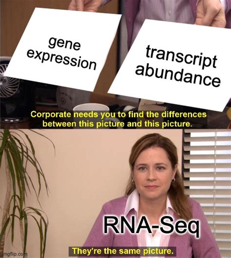 Difference Between Gene Expression And Transcript Abundance Imgflip