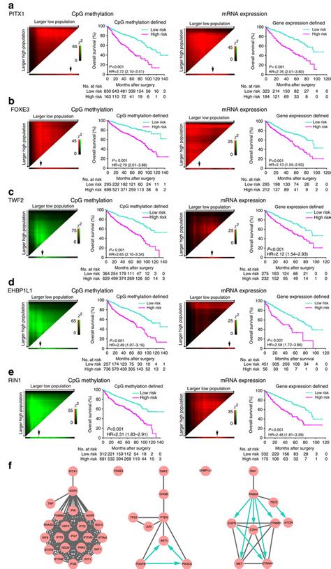 x tile plots of the genes that correspond to the five cpgs and network