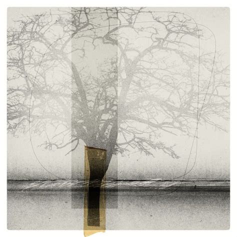 Pin En Visual Dialects