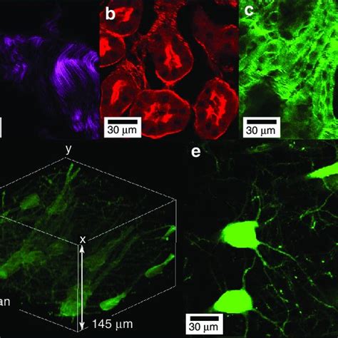Kevin Tsia Professor Full Phd In Electrical Engineering The University Of Hong Kong