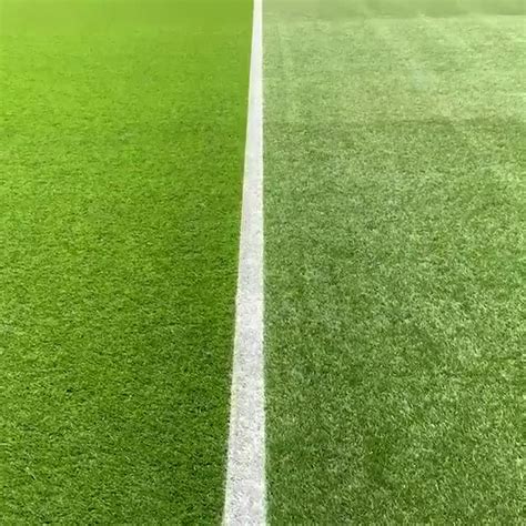 Elzbieta Danuta Jaworska Posted On Linkedin