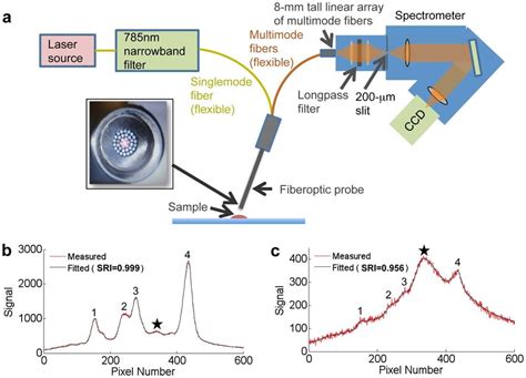 Ccd Spectrometer Principle At Bob Bormann Blog