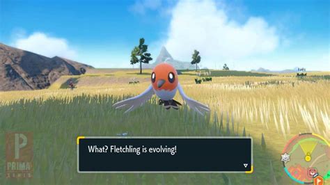 How To Evolve Fletchling Into Fletchinder In Pokemon Scarlet And Violet Prima Games