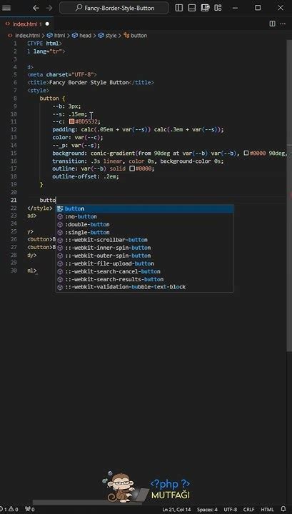 Fancy Border Style Button Shorts Css Button Css3 Css3html5