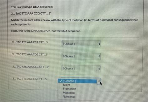 Solved A Portion Of Four Alleles Of Gene B Are Shown Chegg