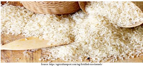 Fortified Rice Kernels Eurofins Scientific