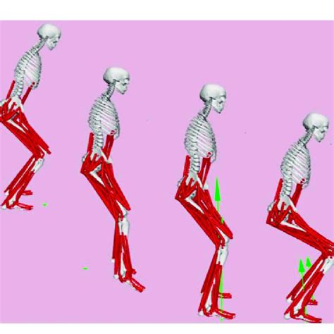 Schematic Of The Opensim Simulation Results Note Since The Main