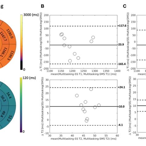 A The 16 Segment Aha Model For The 2d Single Slice Multitasking Download Scientific Diagram
