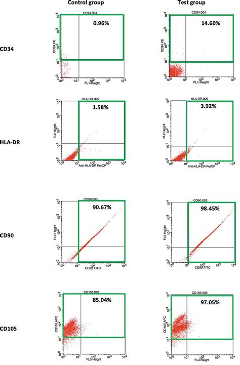 The Expression Of Cell Surface Markers Cd34 Hla Dr Cd90 And Cd105 Download Scientific