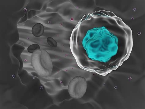 The Hunt For Circulating Tumor Cells Ctc Detection For Oncology