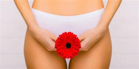 9 Things Every Woman Should Know About Her Ovaries Yourtango