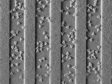 Ibm Finds Way To Build Microchips Using Dna Edge Middle East