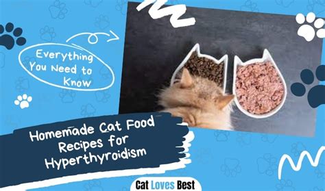Homemade Cat Food Recipes For Hyperthyroidism All You Need To Know