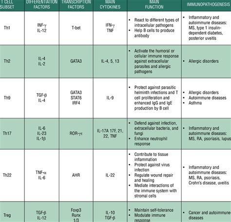 The Polarization Of Naive Cdt Cells To Different Subsets Download
