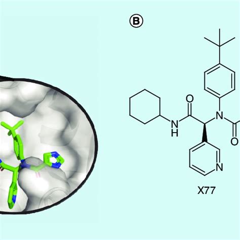 Predicted Binding Affinity Values By Autodock Vina And Dockthor