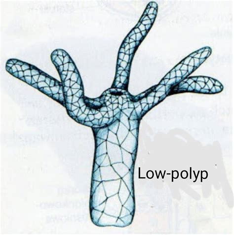 Cnidaria Nervous System Be Like Scrolller