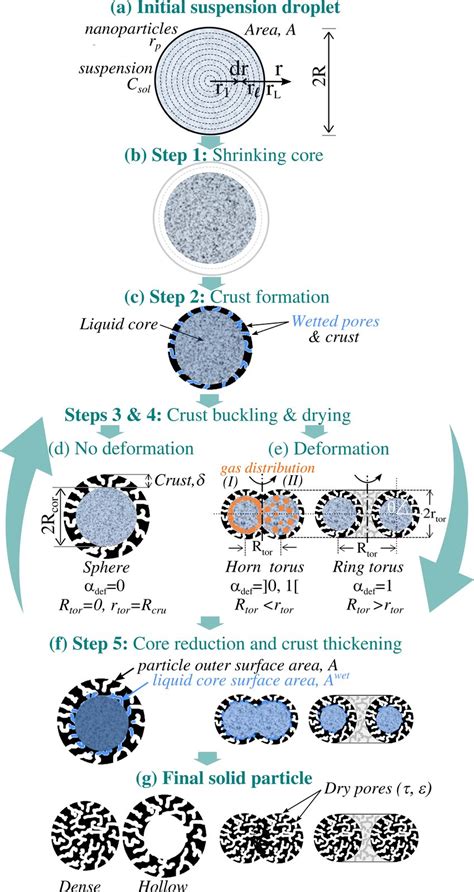Schematic Diagram Of The Droplet Drying Model In Five Steps 1