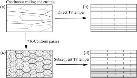 Schematic Illustration Of The Refined Grain And Subgrain Developments Download Scientific