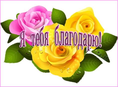 Открытка Я тебя благодарю!