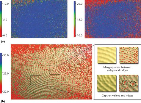 Figure 8 From Extracting Valley Ridge Lines From Point Cloud Based 3d Fingerprint Models