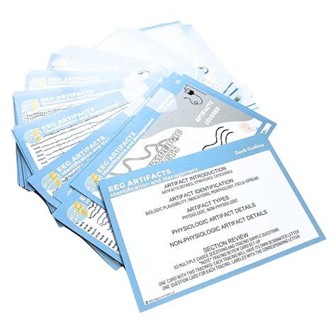 Eeg Artifacts Identification And Management Bahrain Ubuy