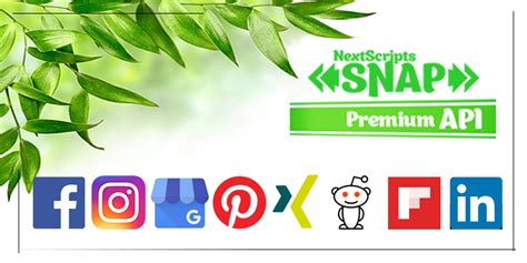 Premium API Addon NextScripts Store