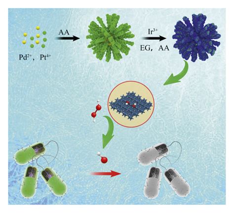 Enhanced Peroxidase‐like And Antibacterial Activity Of Ir‐coatedpd‐pt Nanodendrites As Nanozyme