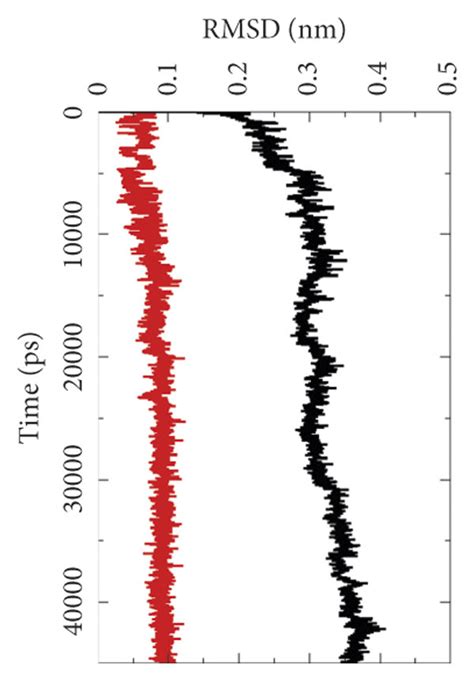 the 45 ns molecular dynamics simulation and calculated root mean square
