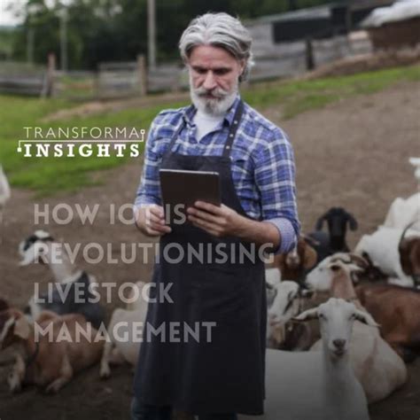 Iot Now On Linkedin Iot