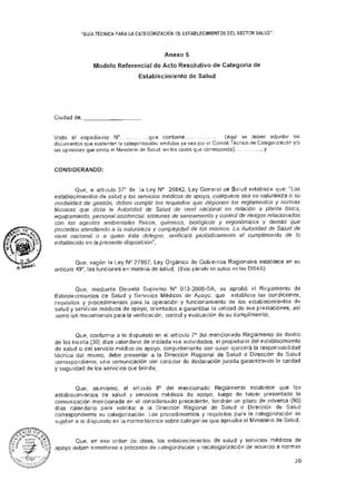 Guia Tecnica De Categorizacion De Eess Pdf