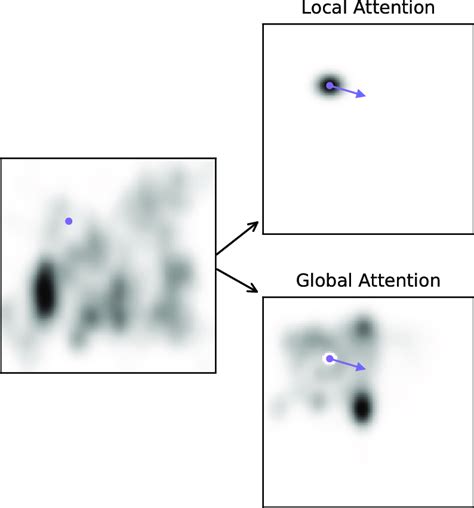 Local And Global Attention Maps On The Left Is An Example Of An