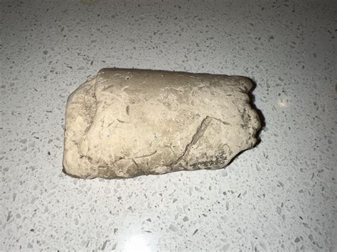 Fossilized Bone Fragments Rfossilid Fossilized Bone Fragments Rfossilid