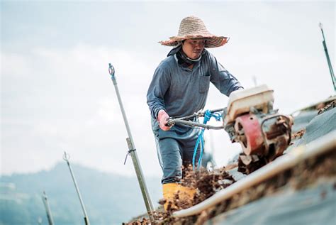 아시아 남성 농부 는 언덕에 손 트랙터와 토양 필드를 쟁기 35 39세에 대한 스톡 사진 및 기타 이미지 35 39세 건강한 생활방식 광대한 Istock