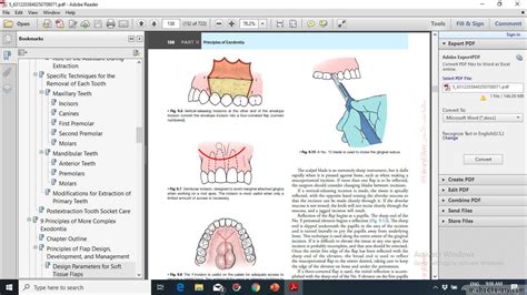 Types of flap pptx د علياء اسماعيل Muhadharaty