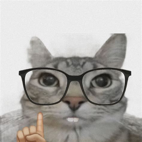 Gato Nerd