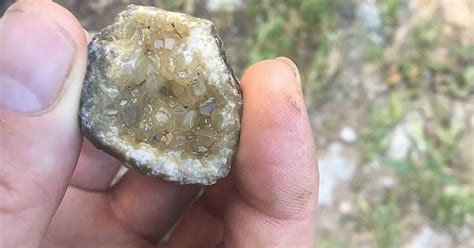 Fossil Album On Imgur