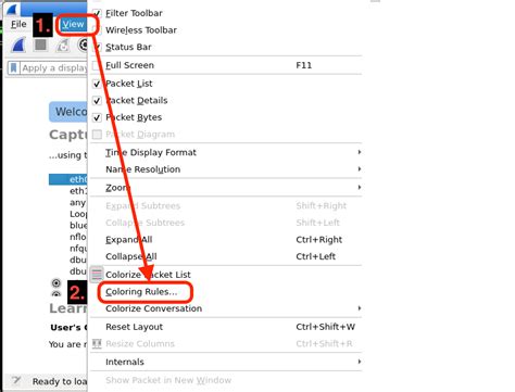 Create And Apply Colorizing Rules In Wireshark Labex